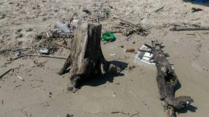 Salento, spiagge di Torre Rinalda invase dai rifiuti