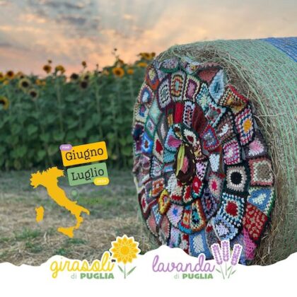 Foggia, dal 27 Giugno aprono i campi di Girasoli e Lavanda